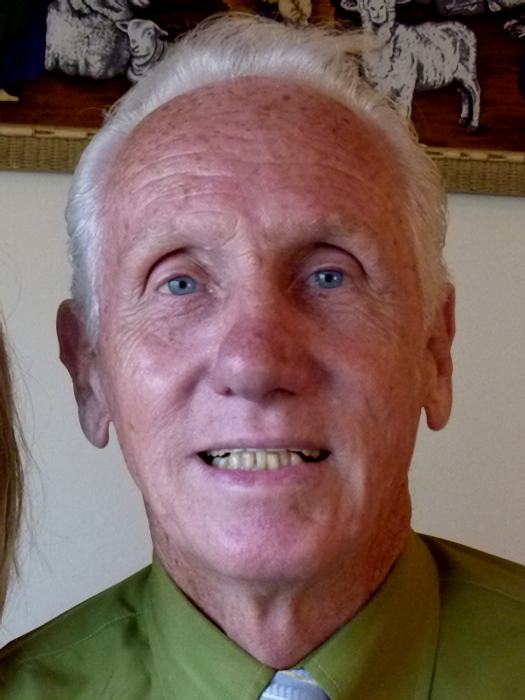 Meu Ministério - Mensageiro Luterano